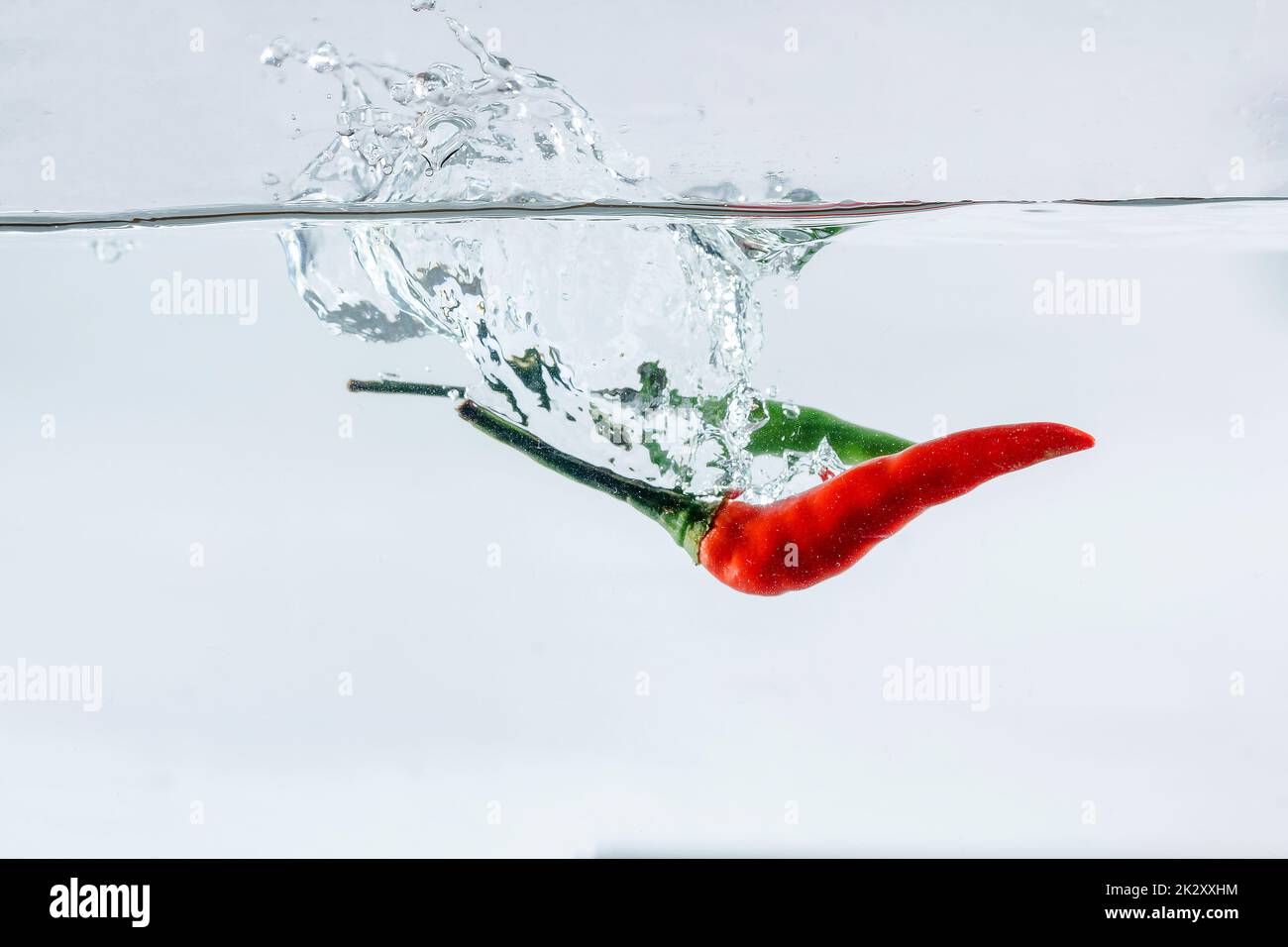 Red chilli, water splashes, solated on a white background Stock Photo ...