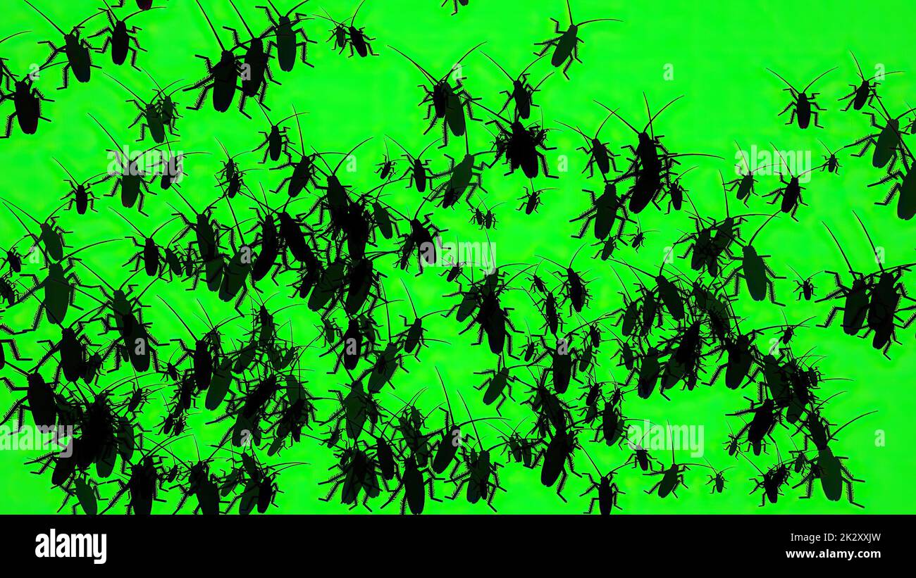 Flying dirt animation hi-res stock photography and images - Alamy