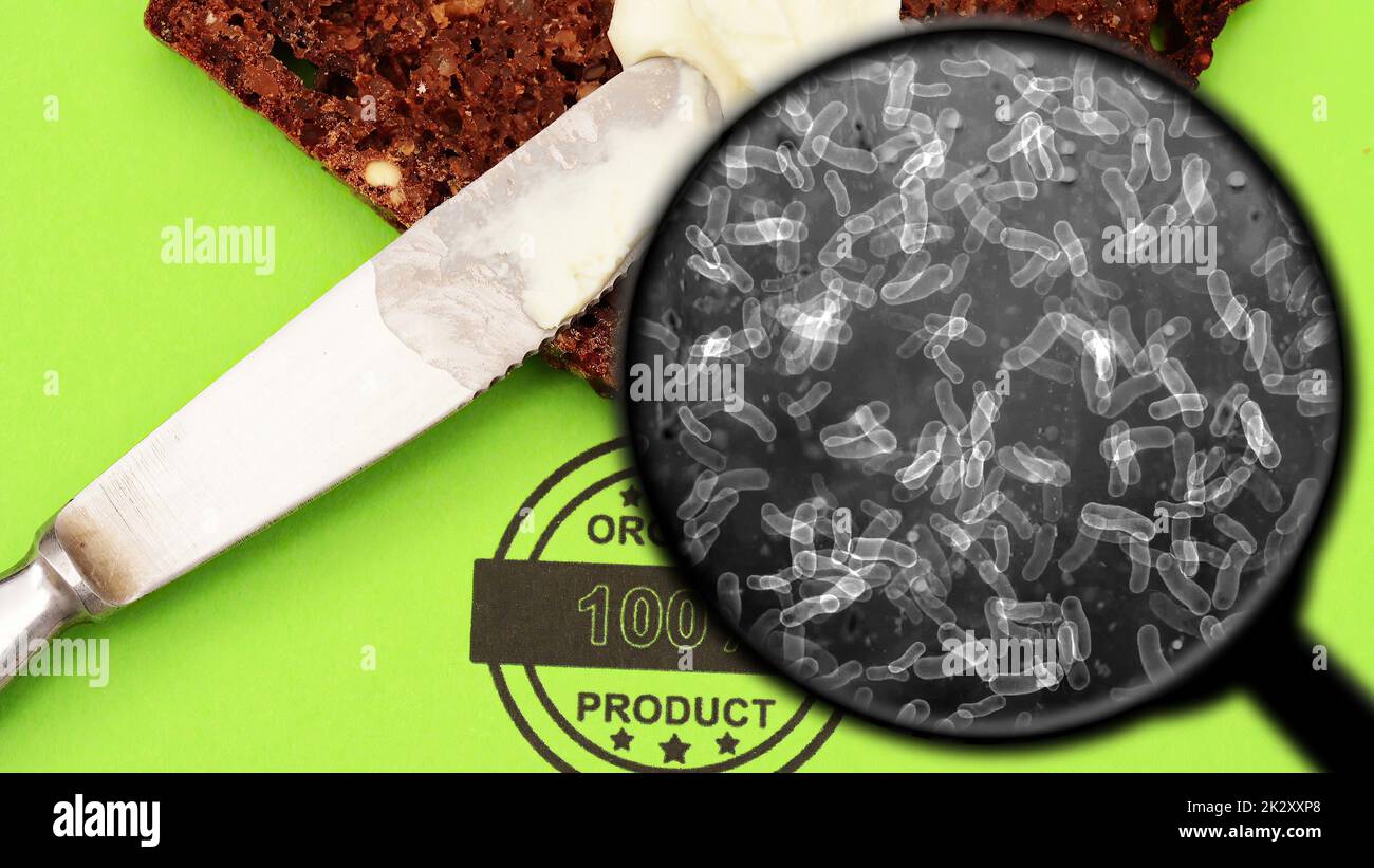 Searching for bacteria in bread Stock Photo - Alamy