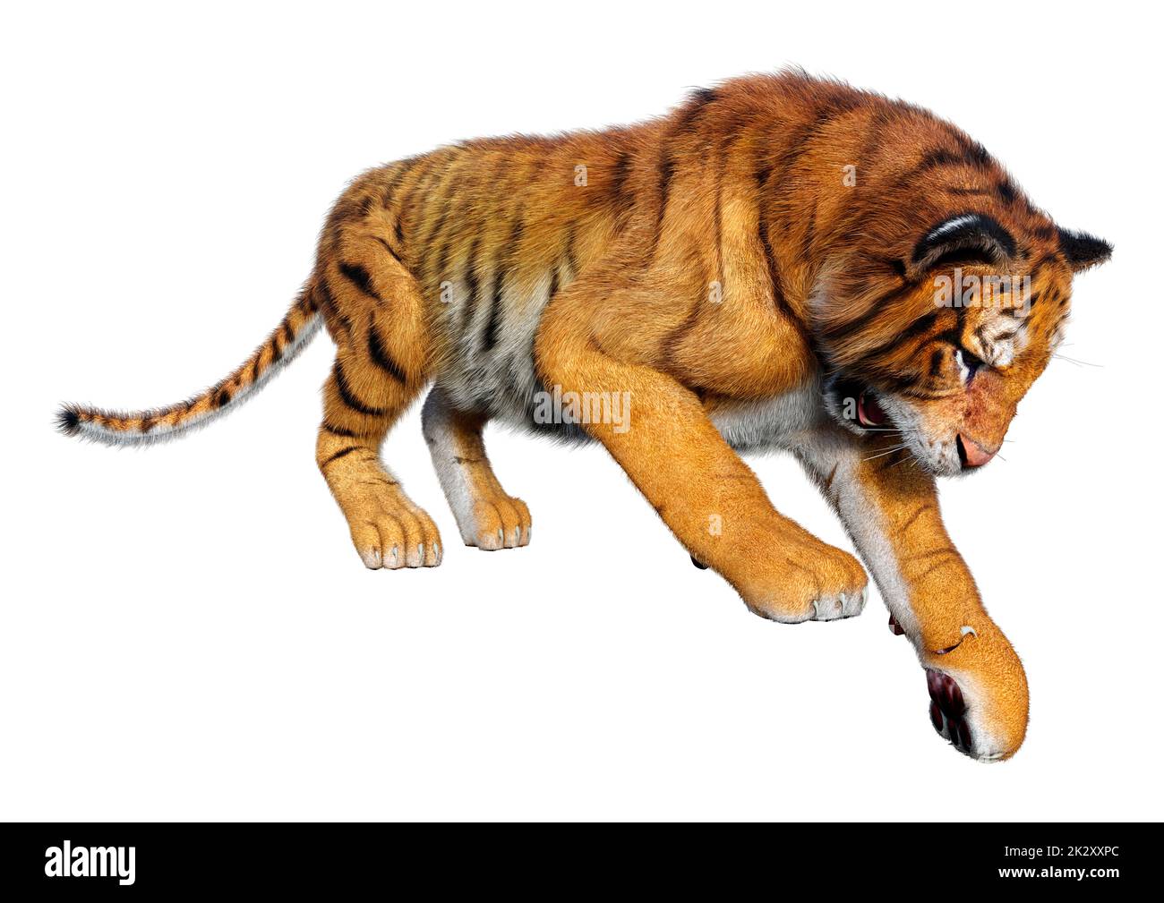 3D Rendering Big Cat Tiger on White Stock Photo - Alamy