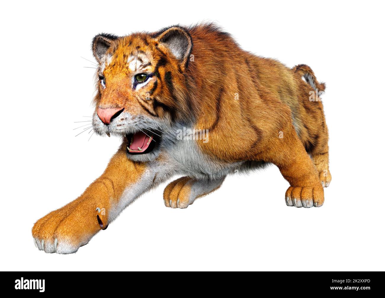 3D Rendering Big Cat Tiger on White Stock Photo - Alamy