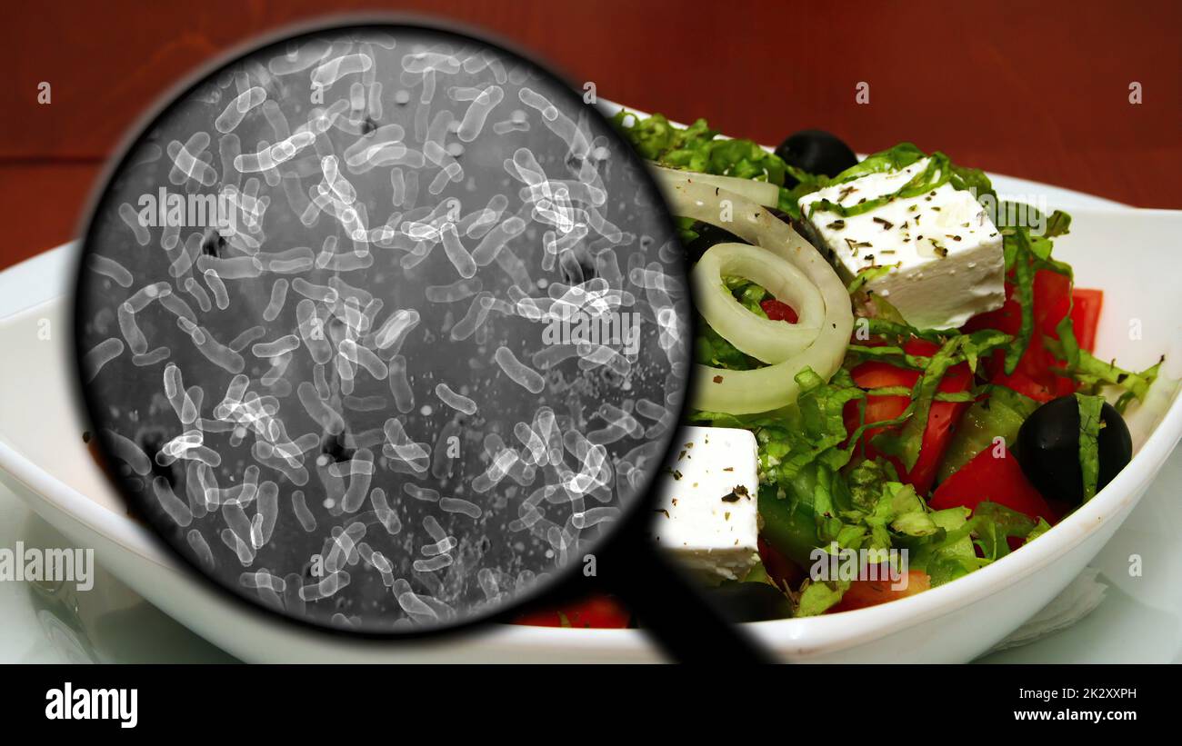 Searching for bacteria in vegetables Stock Photo - Alamy