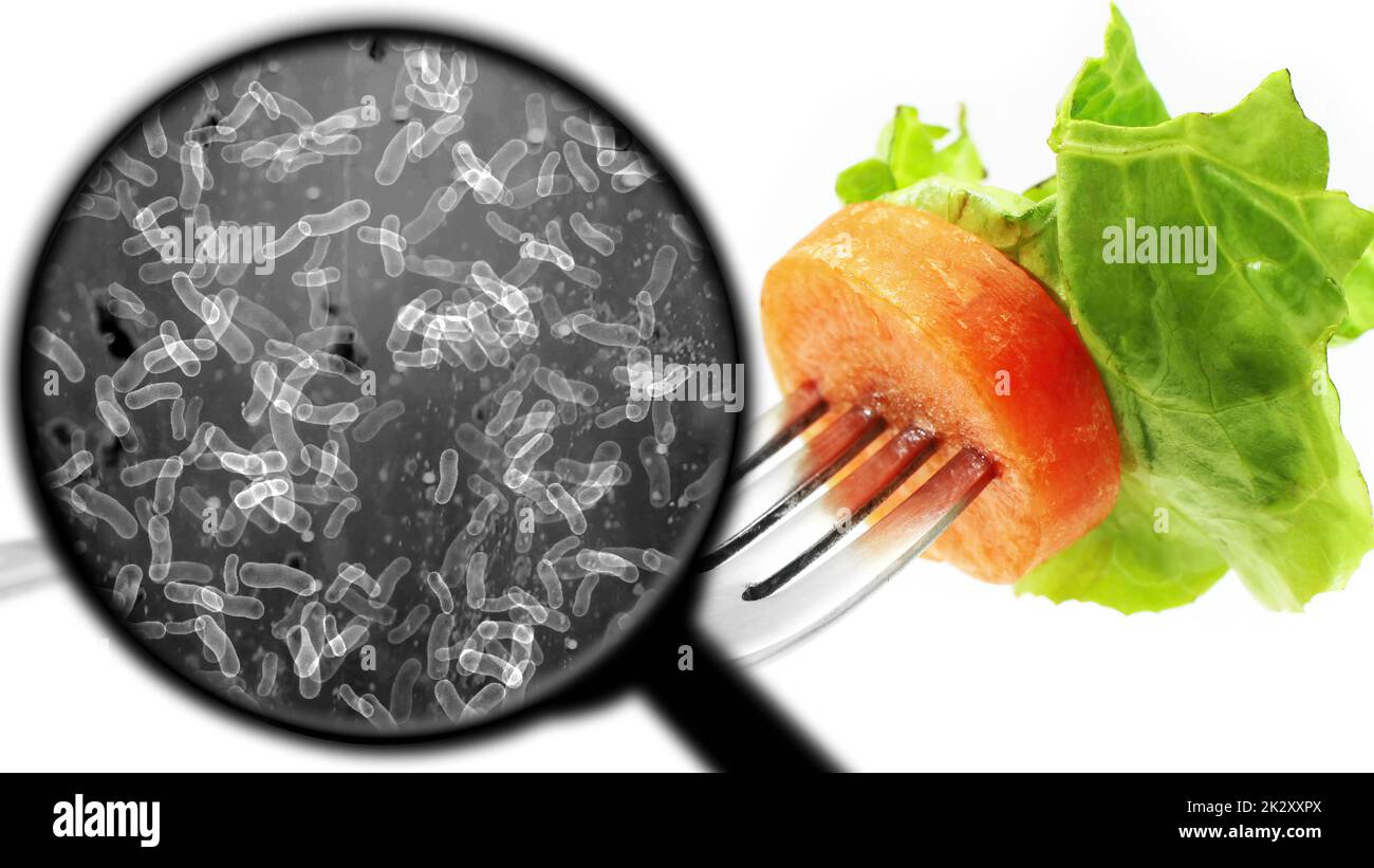 Searching for bacteria in vegetables Stock Photo - Alamy