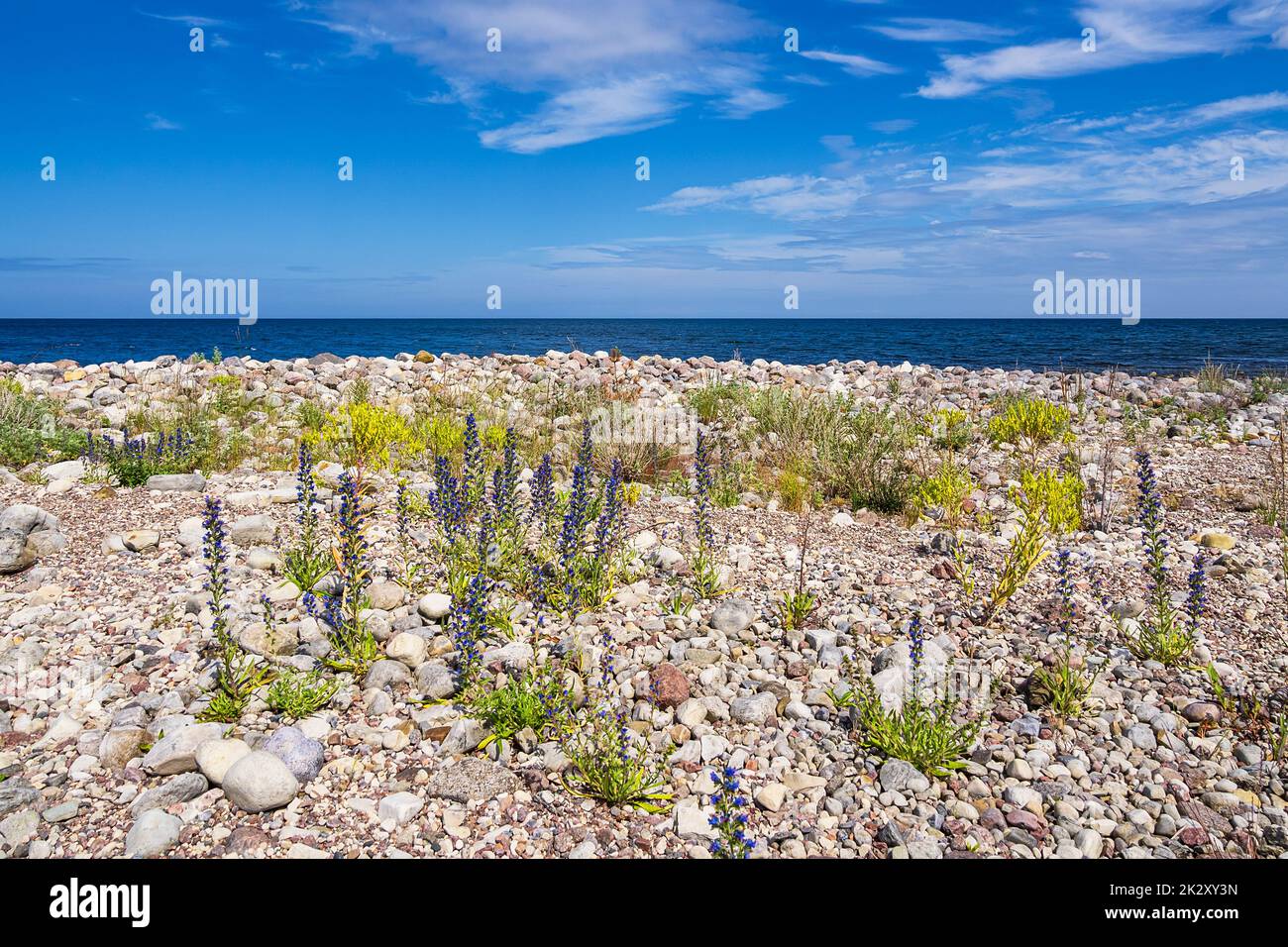 Sea shore field hi-res stock photography and images - Alamy