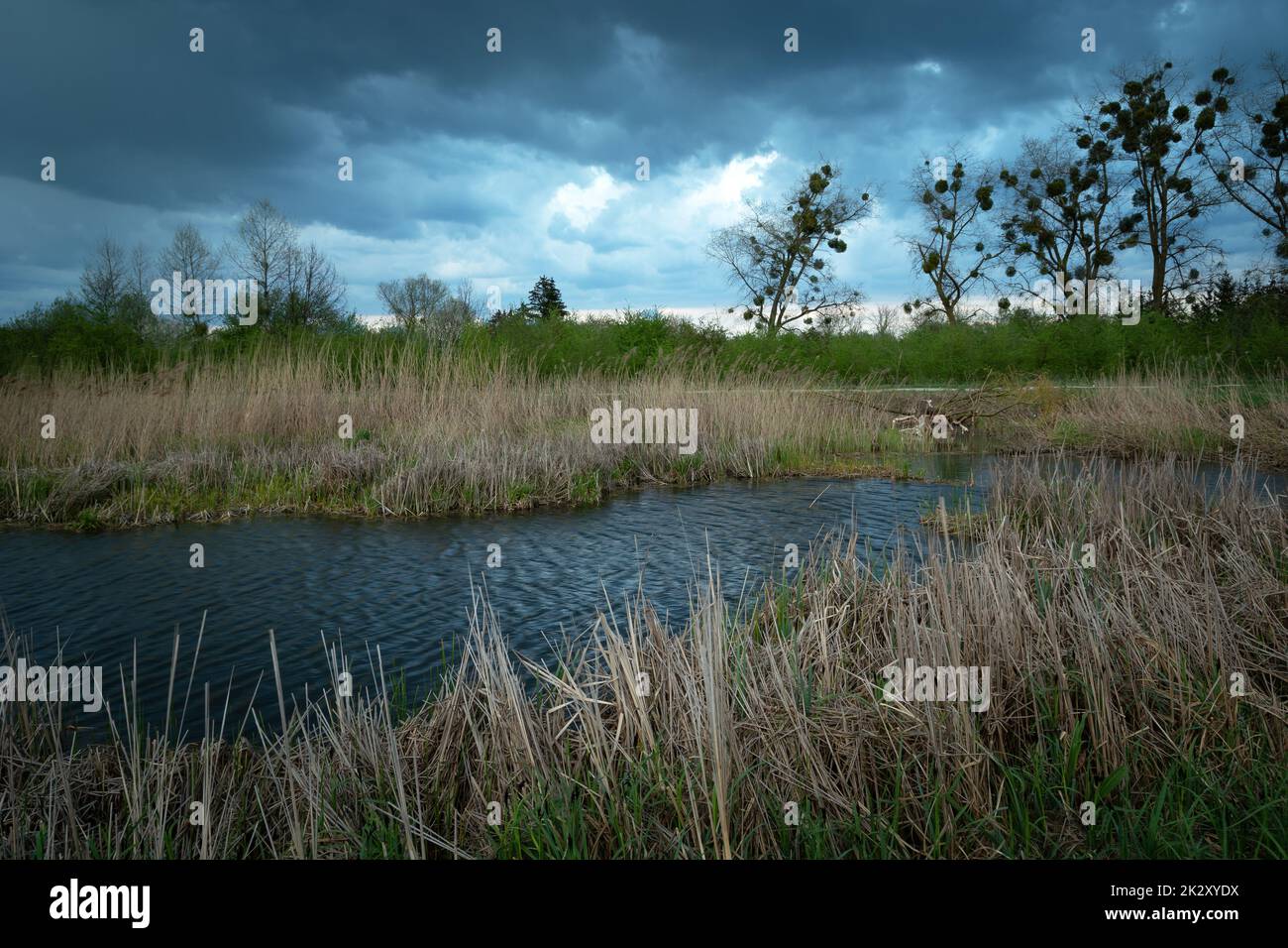 Dark pond hi-res stock photography and images - Alamy