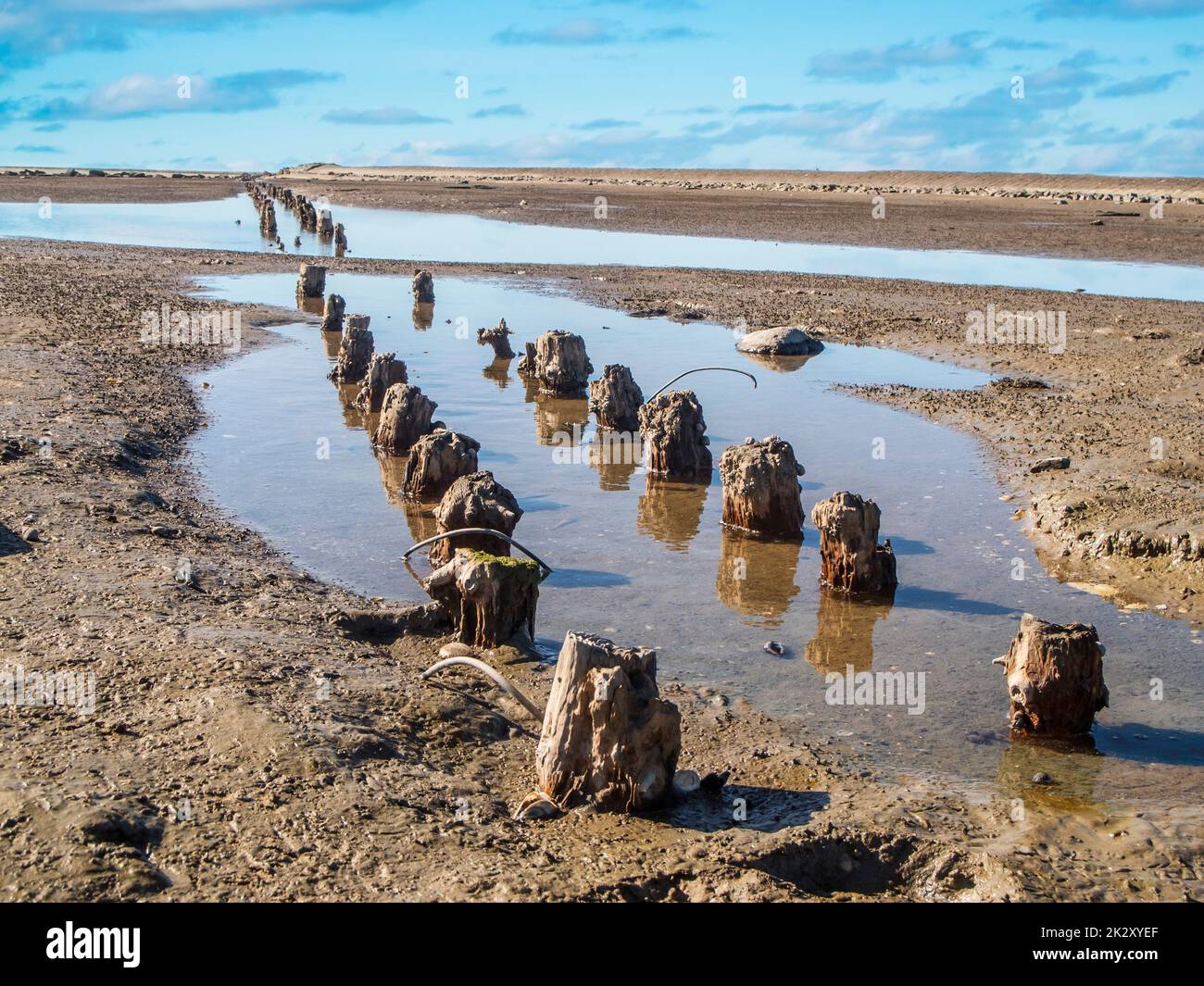 Weathered groyne pillars straight Stock Photo - Alamy