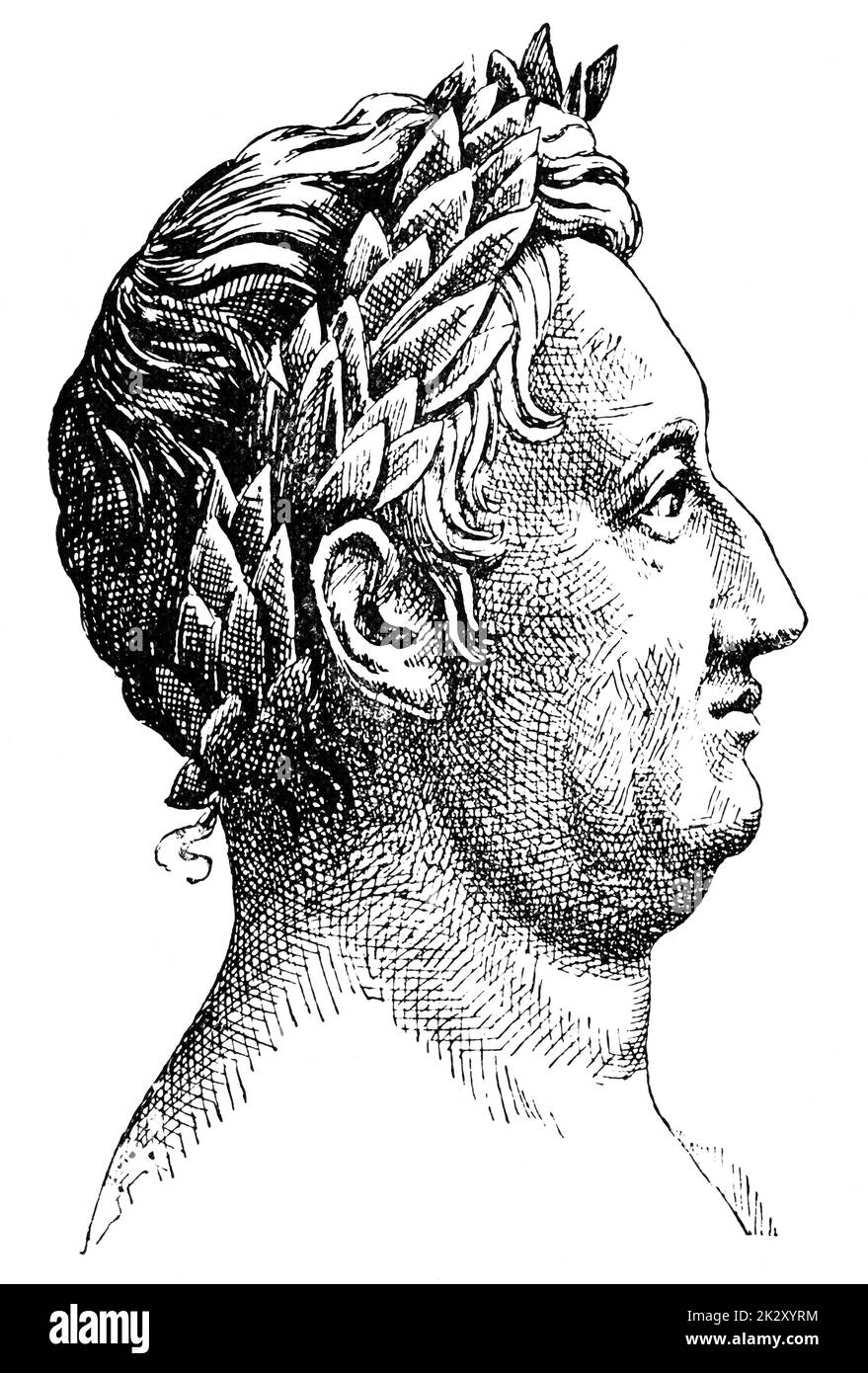 Portrait of Johann Wolfgang von Goethe (1880) - a German writer and ...