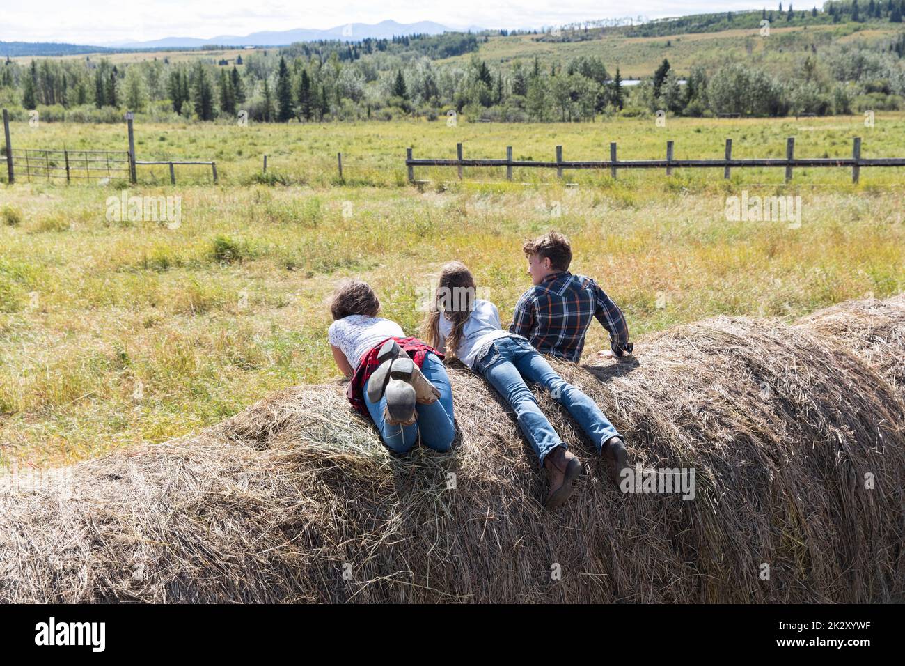 11 to 13 years hi-res stock photography and images - Alamy