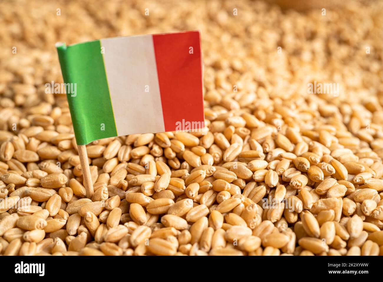 Grains wheat with Italy flag, trade export and economy concept Stock ...