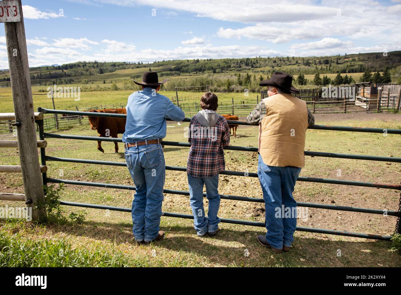 Multigenerational cattle ranchers at sunny pasture fence on ranch Stock ...