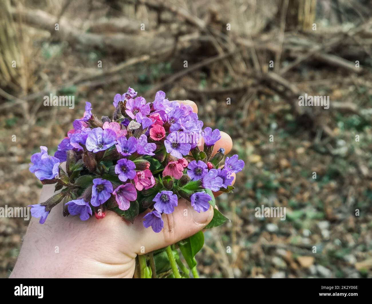 Hand helding hi-res stock photography and images - Alamy