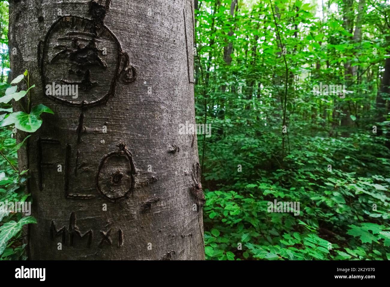 Sun carved in wood hi-res stock photography and images - Alamy