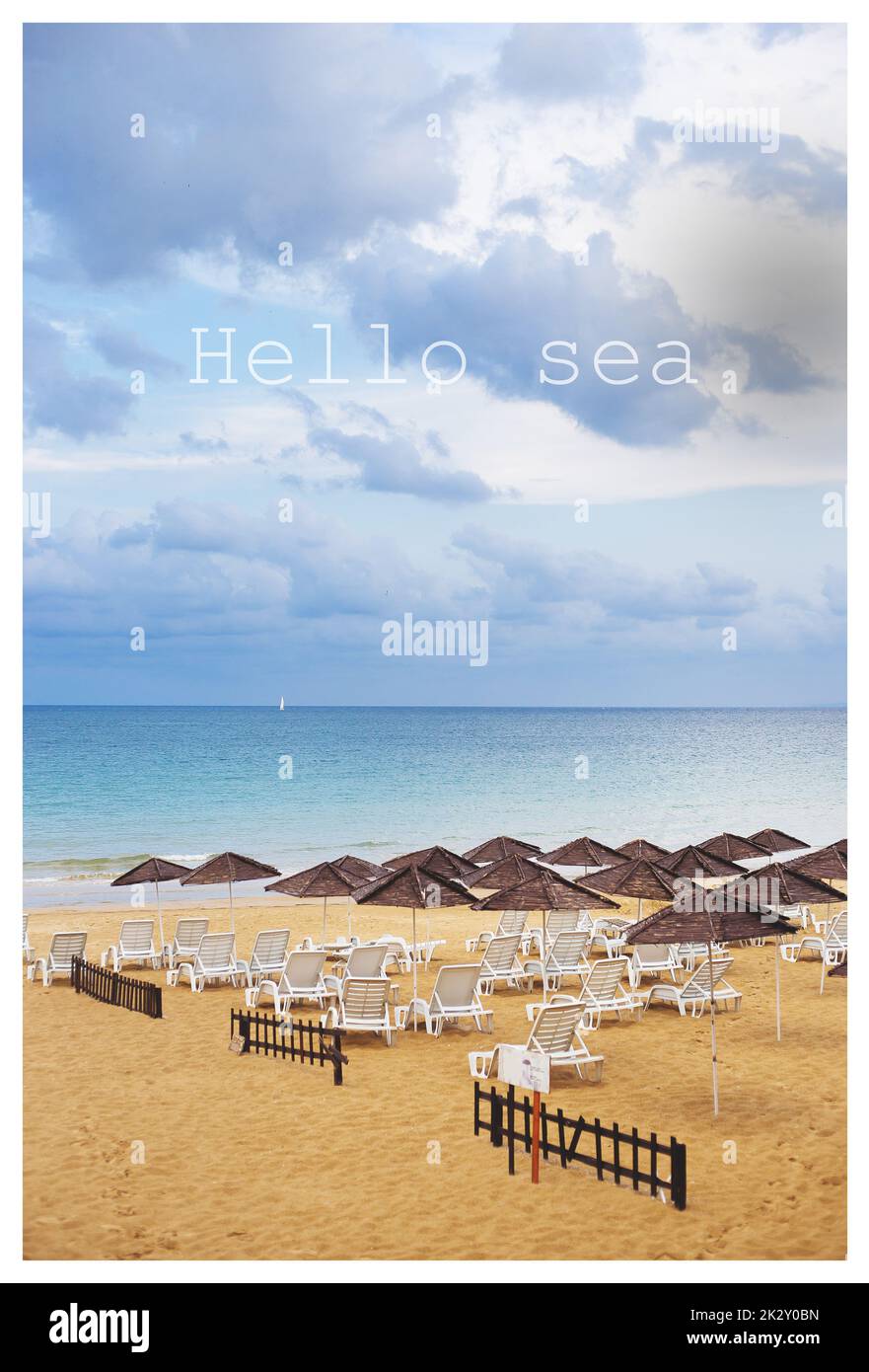 Beautiful summer landscape black Cut Out Stock Images & Pictures - Alamy