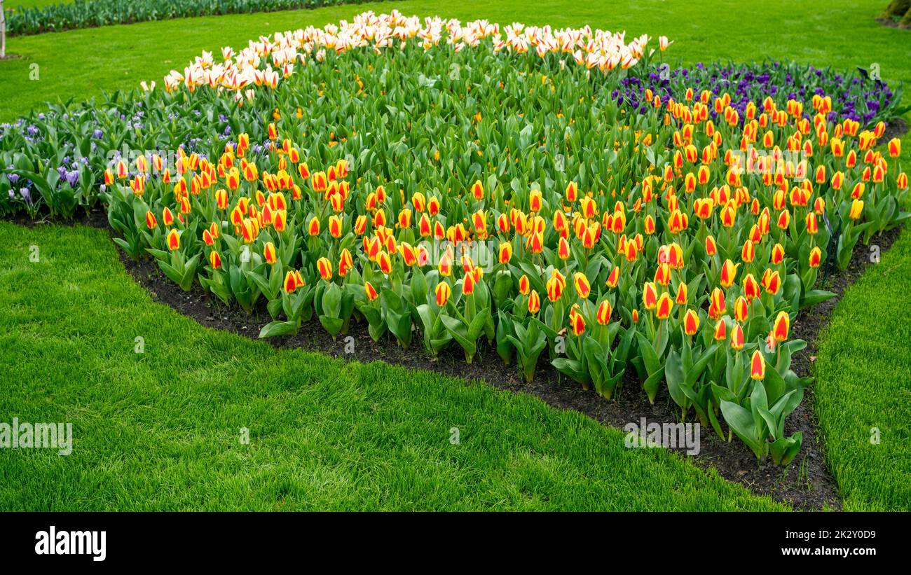 Colorful landscape hi-res stock photography and images - Alamy