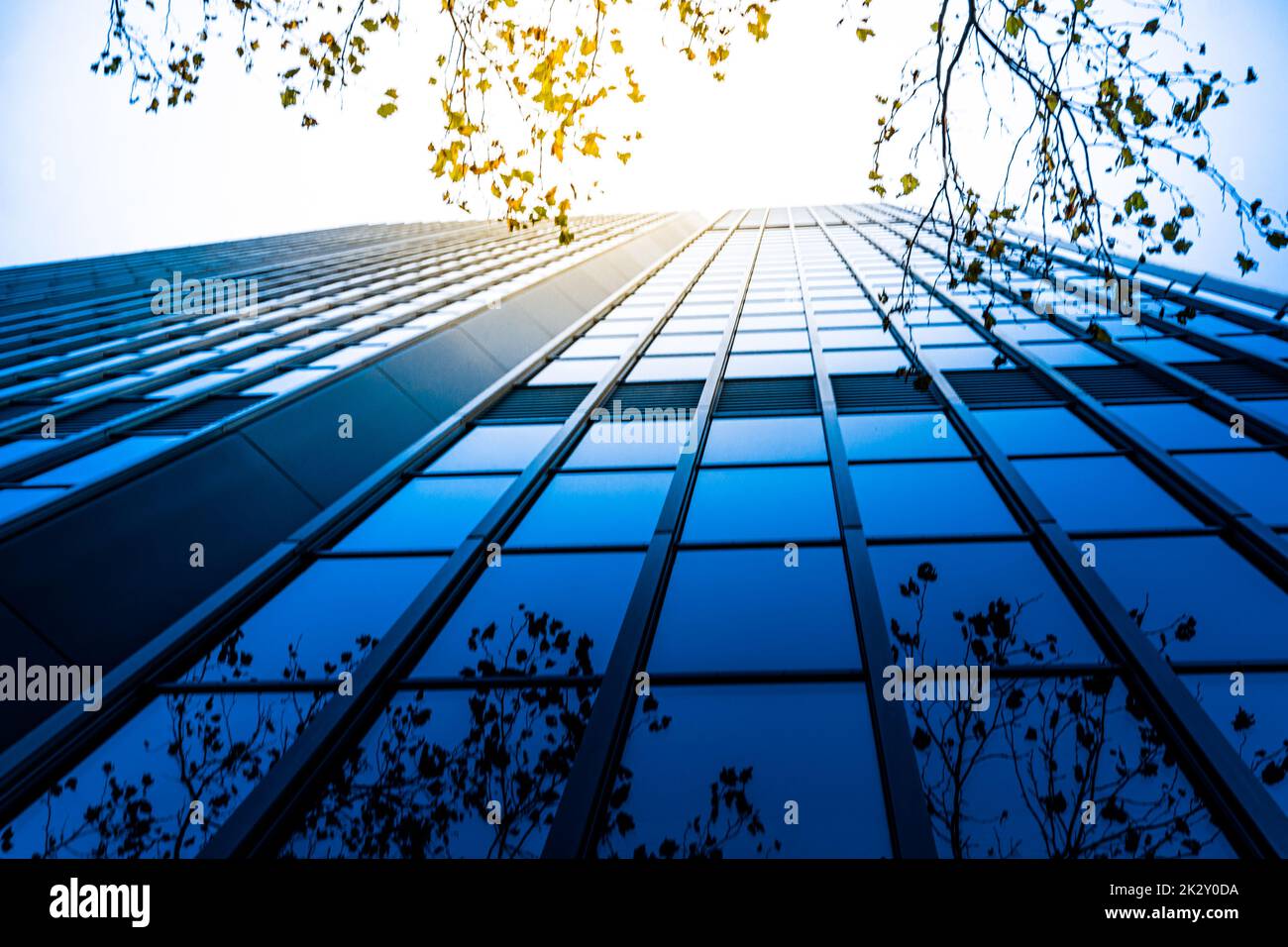 High rise skyscraper skyscrapers building buildings glass hi-res stock ...