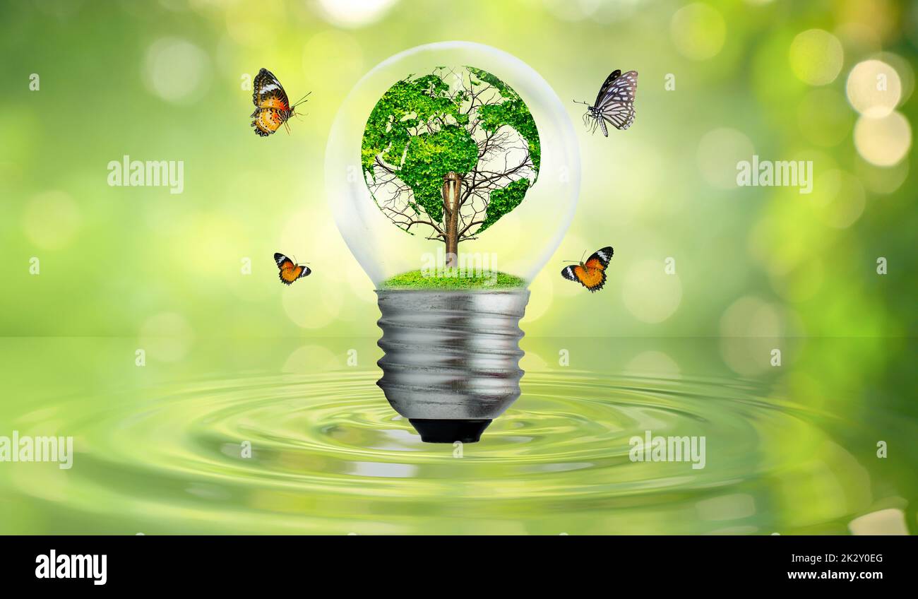 world shaped tree in light bulb concept of environmental conservation ...