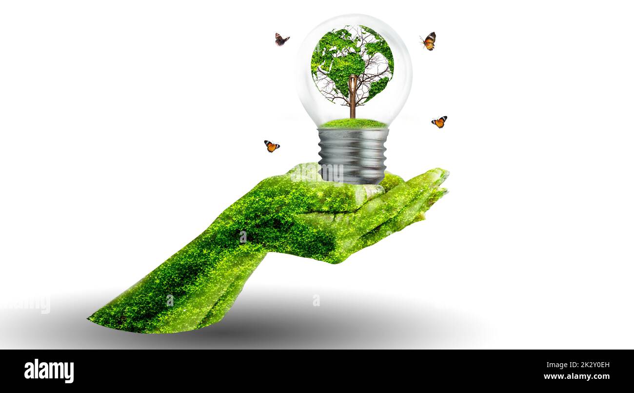world shaped tree in light bulb concept of environmental conservation ...