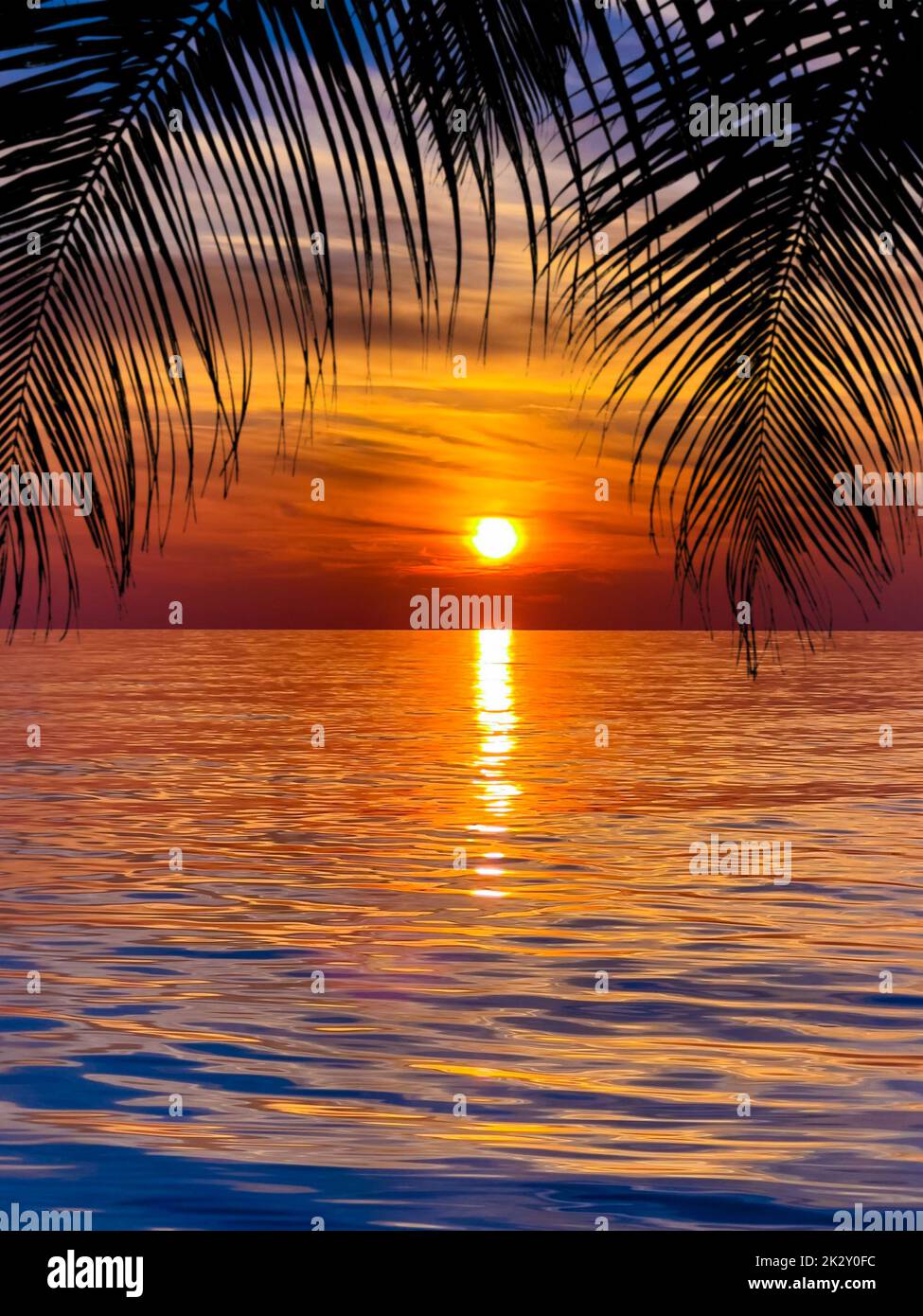 Nice sunset. Dark palm trees silhouettes on colorful tropical ocean ...
