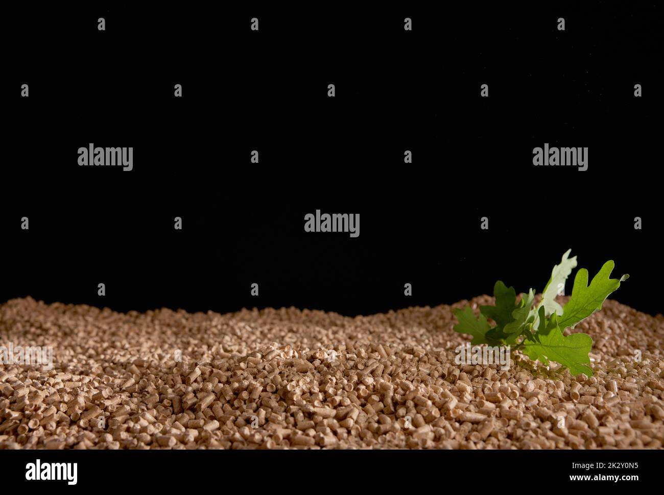 Green tree leaves on stack of fuel pellets Stock Photo - Alamy