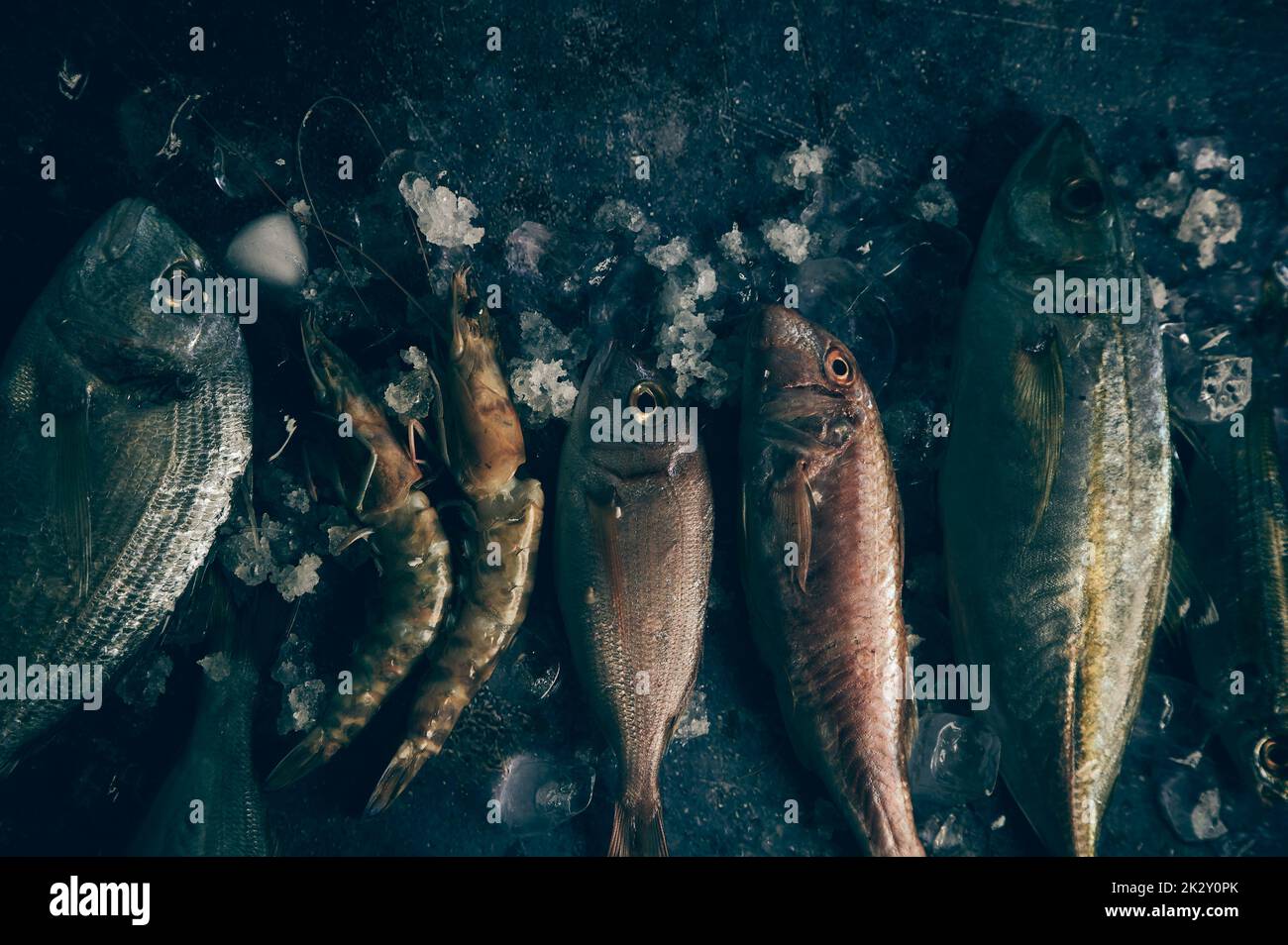 Raw fish table hi-res stock photography and images - Alamy
