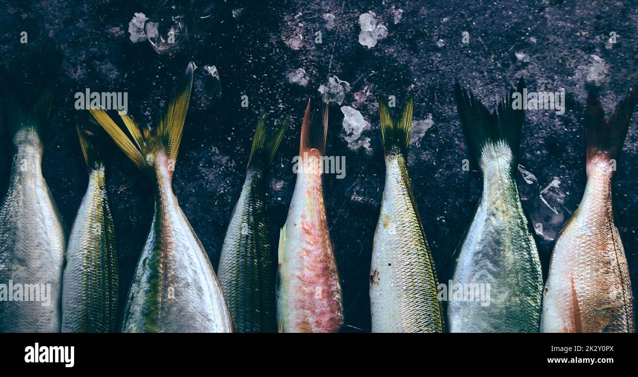 Tails of assorted raw fish Stock Photo - Alamy