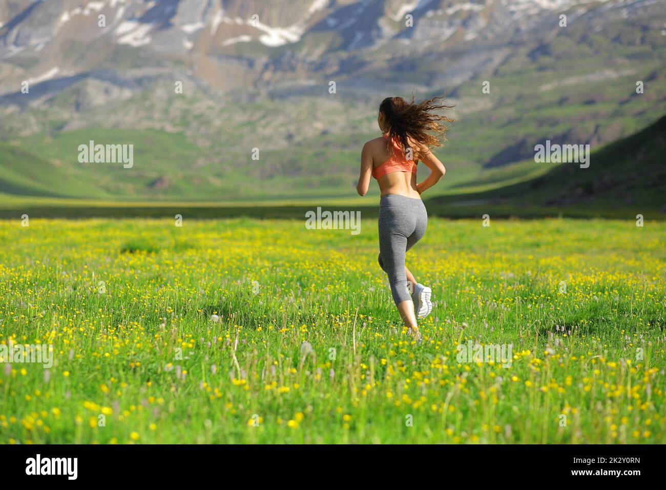 Back view portrait of a runner running in a field in the mountain Stock ...