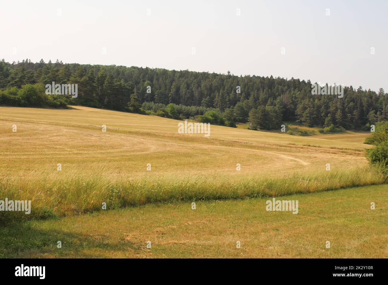 Thuringia landscape hi-res stock photography and images - Alamy