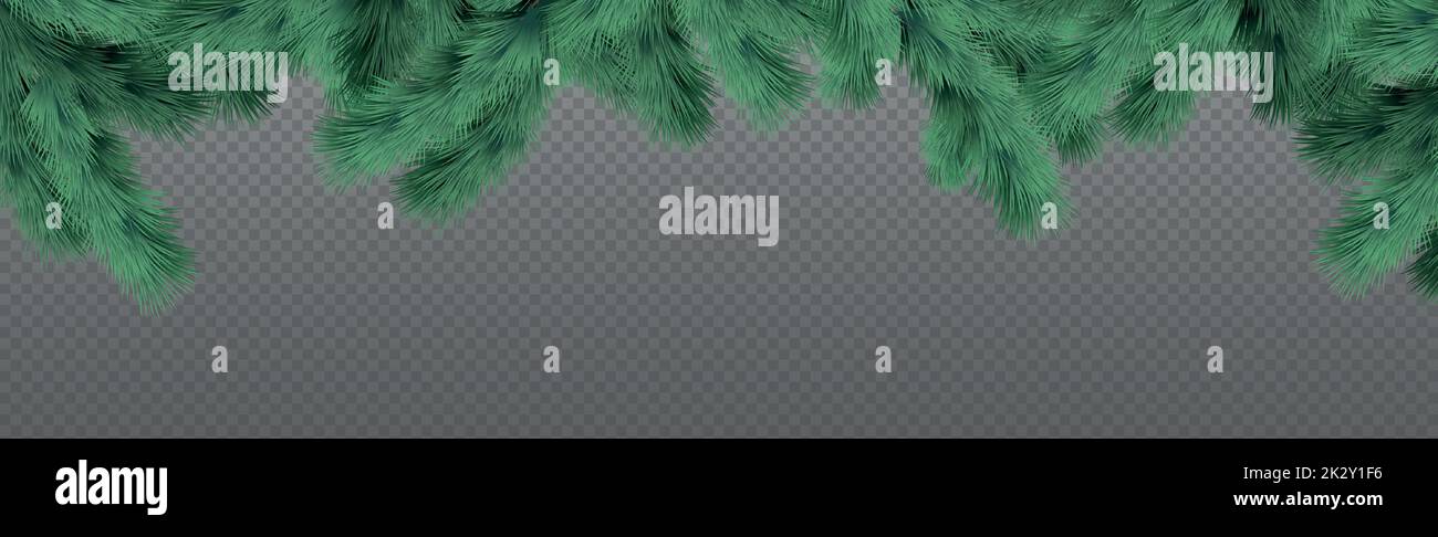 New Year Christmas background, festive fir tree, web template without ...