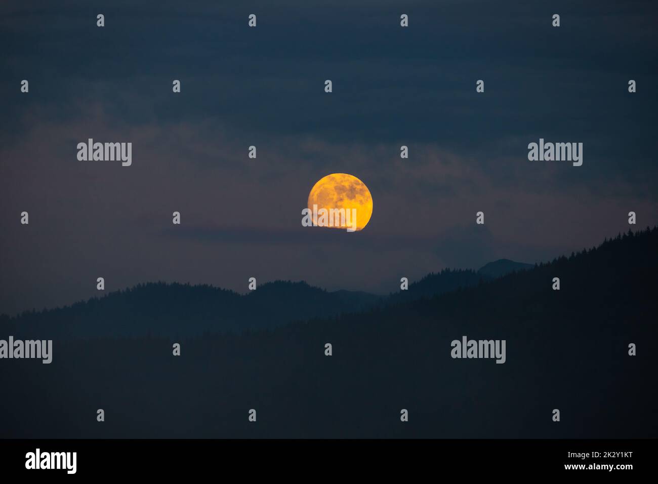 A scenic view of the yellow full moon in the clouds with silhouettes of ...