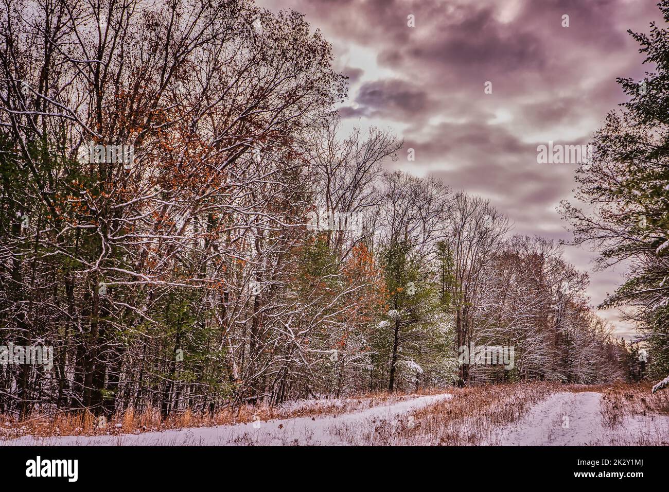 A landscape shot of the beautiful Ogemaw Hills Pathway surrounded by ...