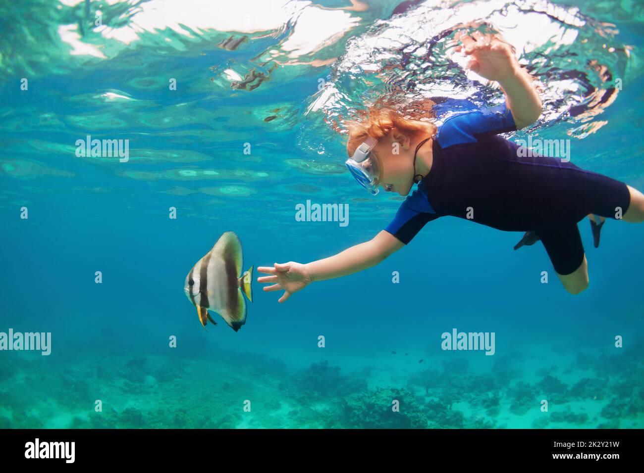 Underwater activities fish hi-res stock photography and images - Alamy