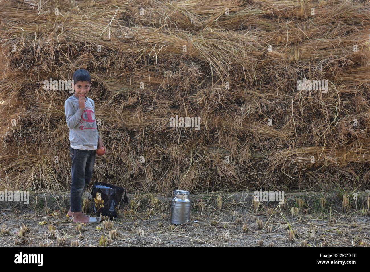 Srinagar, India. 23rd Sep, 2022. A boy poses for the picture at a field ...