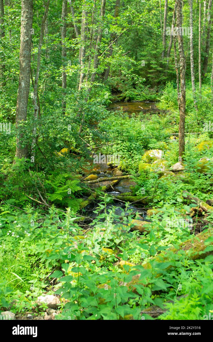 Waterfall view from nature flowing into a stream of water flowing ...