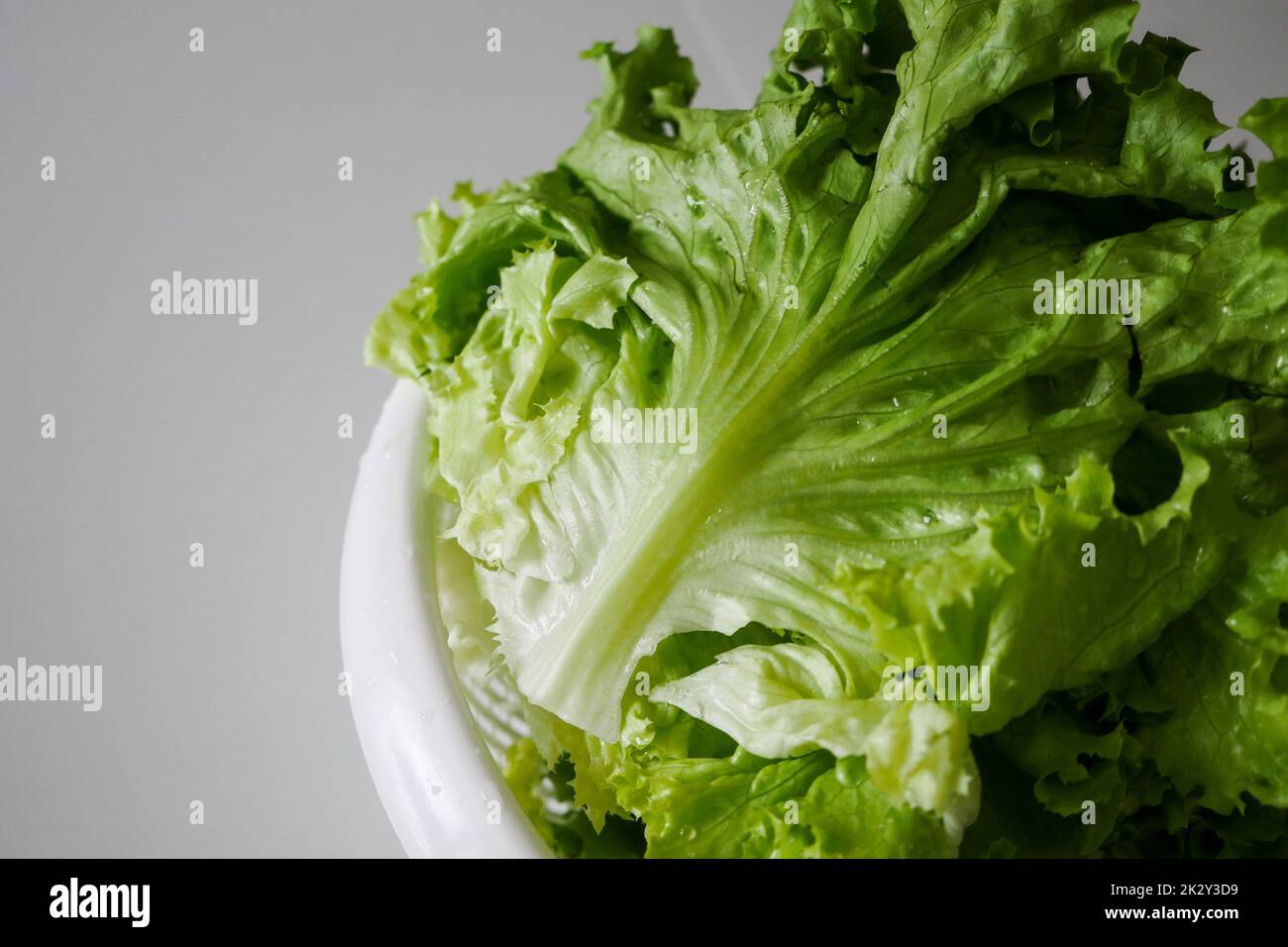 Washed curly leaves hi-res stock photography and images - Alamy