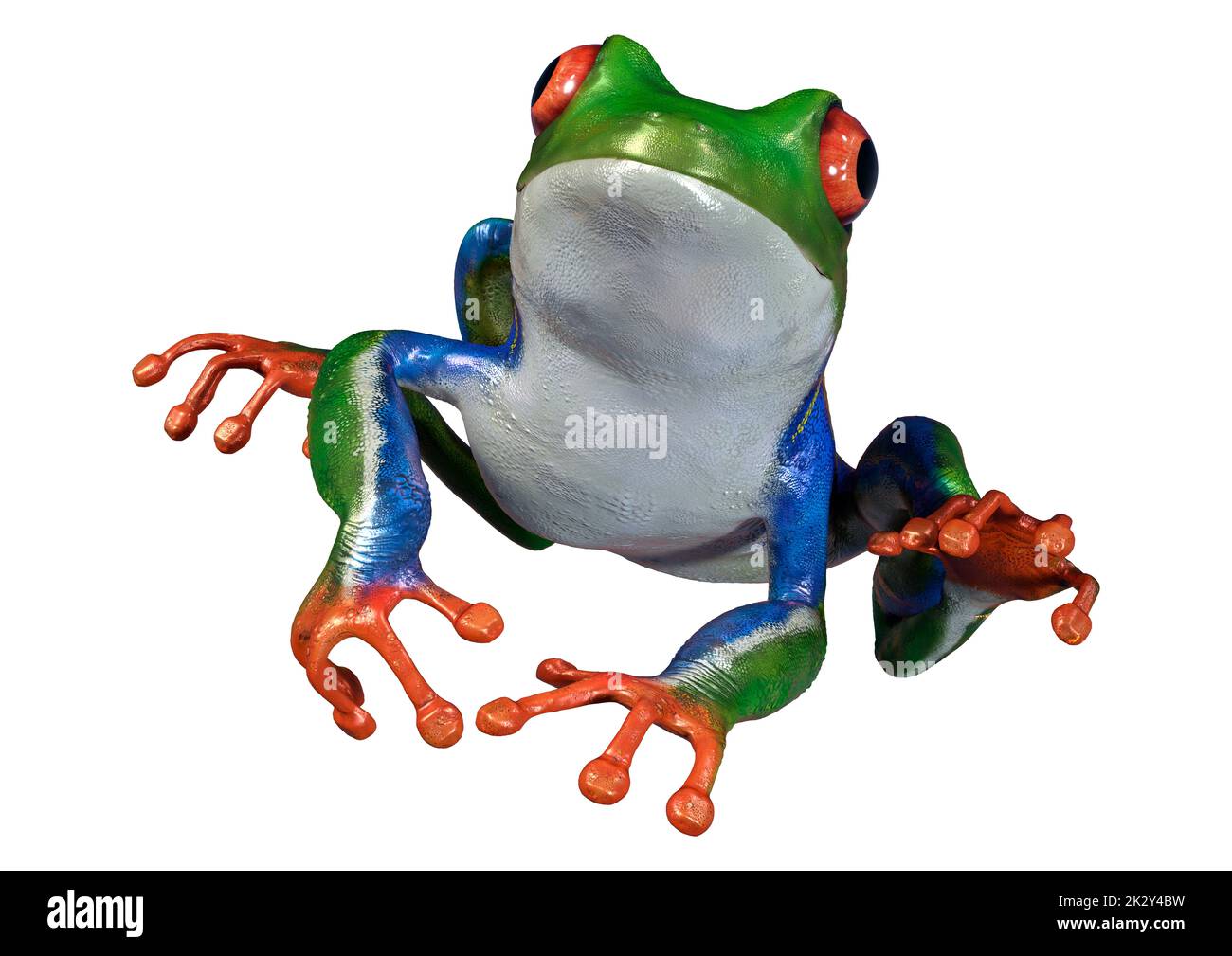 Amazon tree Cut Out Stock Images & Pictures - Alamy