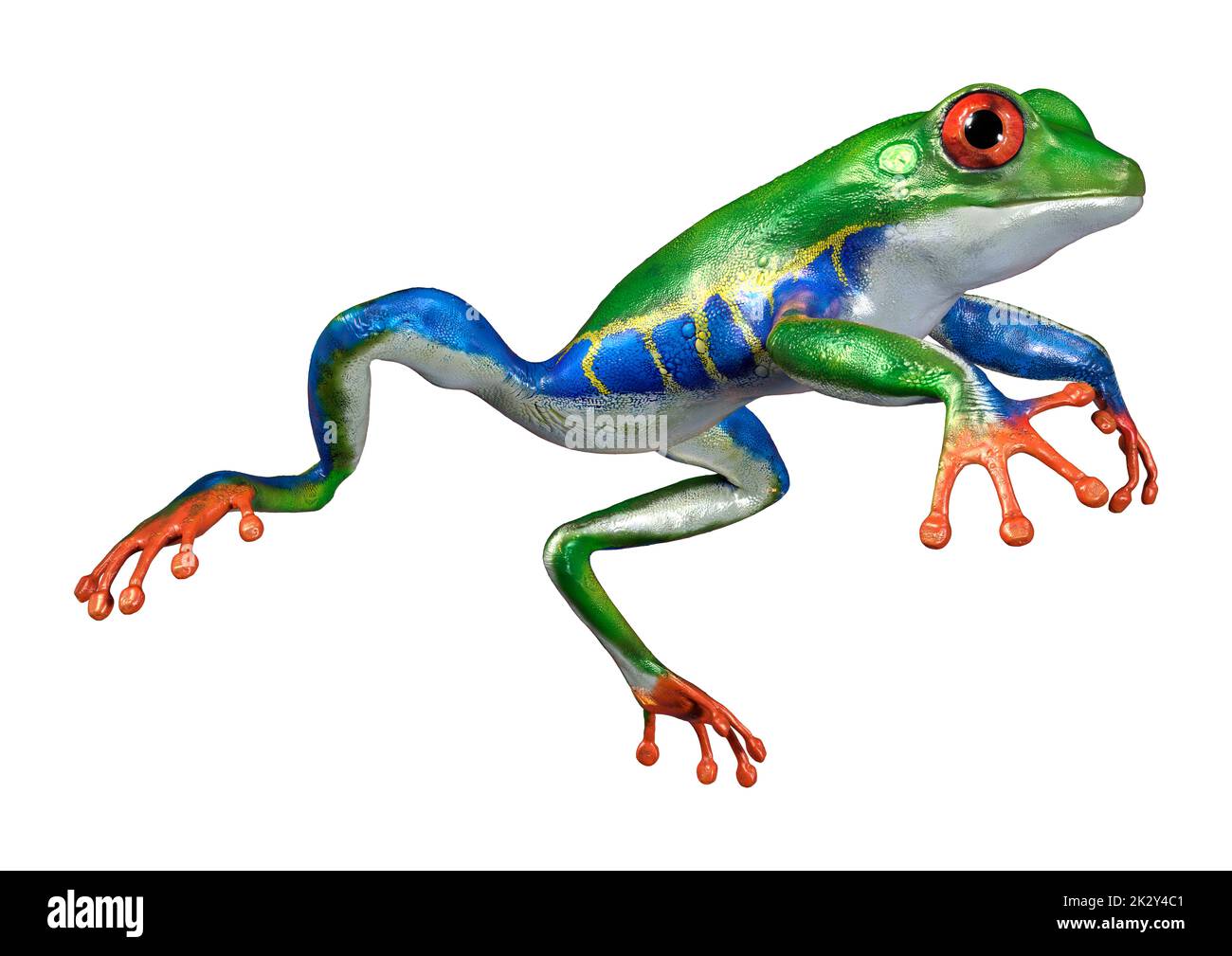 Amazon people forest Cut Out Stock Images & Pictures - Alamy