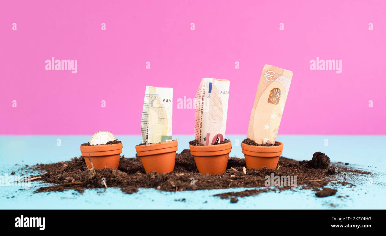 Euro banknotes in small flowerpots, money growing, financial planning ...