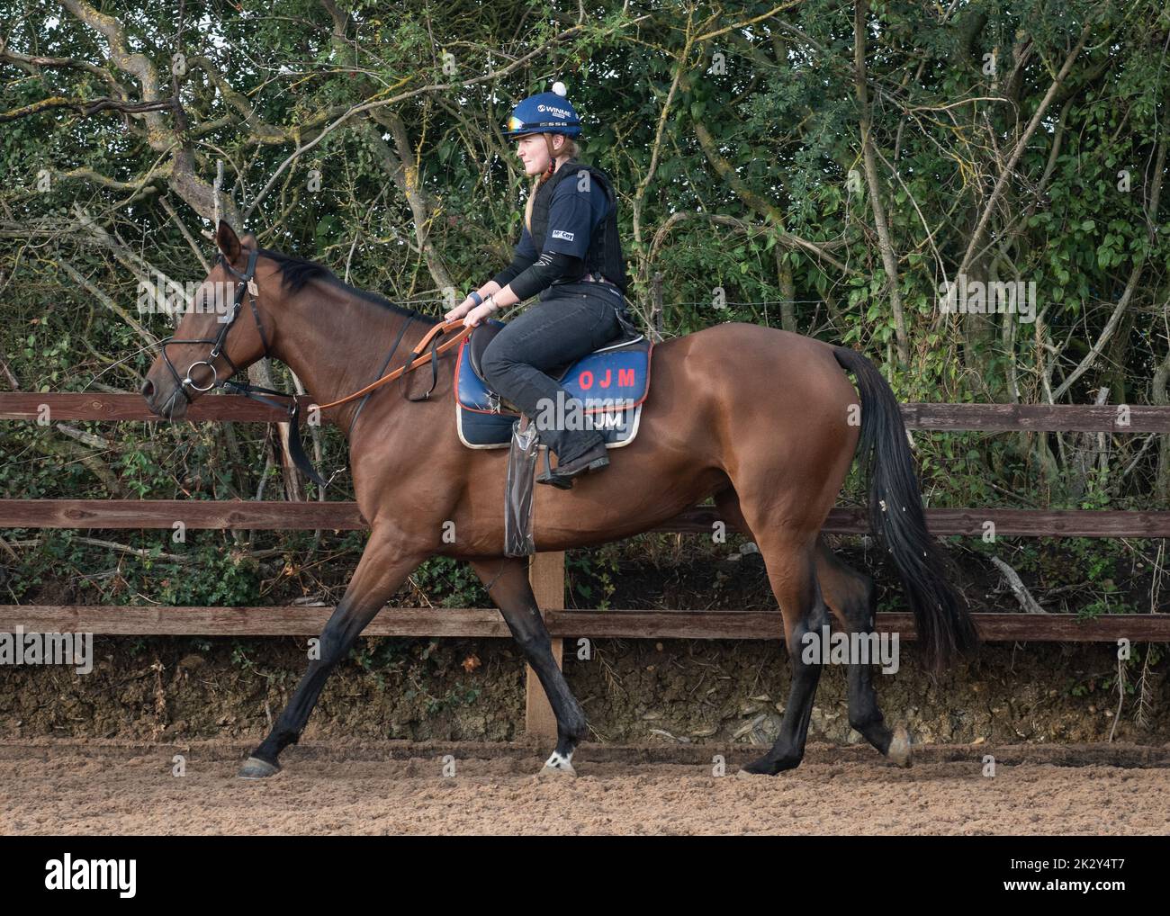 Warren chase racing stables hi-res stock photography and images - Alamy