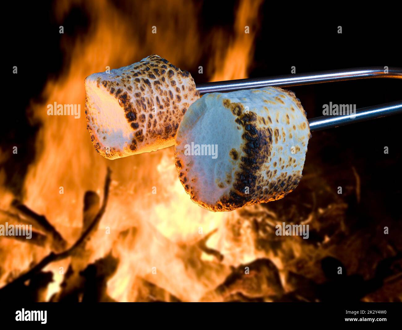 Two marshmallows being roasted over a campfire to make smores Stock ...