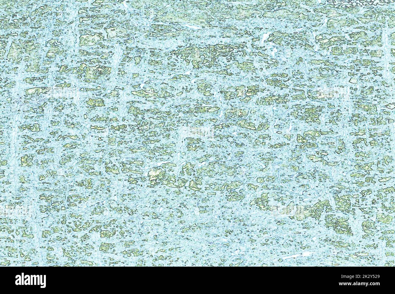 Abstract soft light background with natural texture and irregular ...