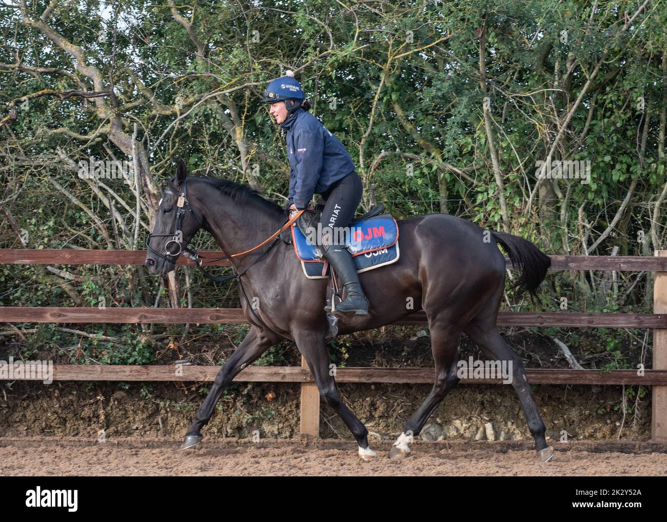 Olly murphy trainer hi-res stock photography and images - Alamy