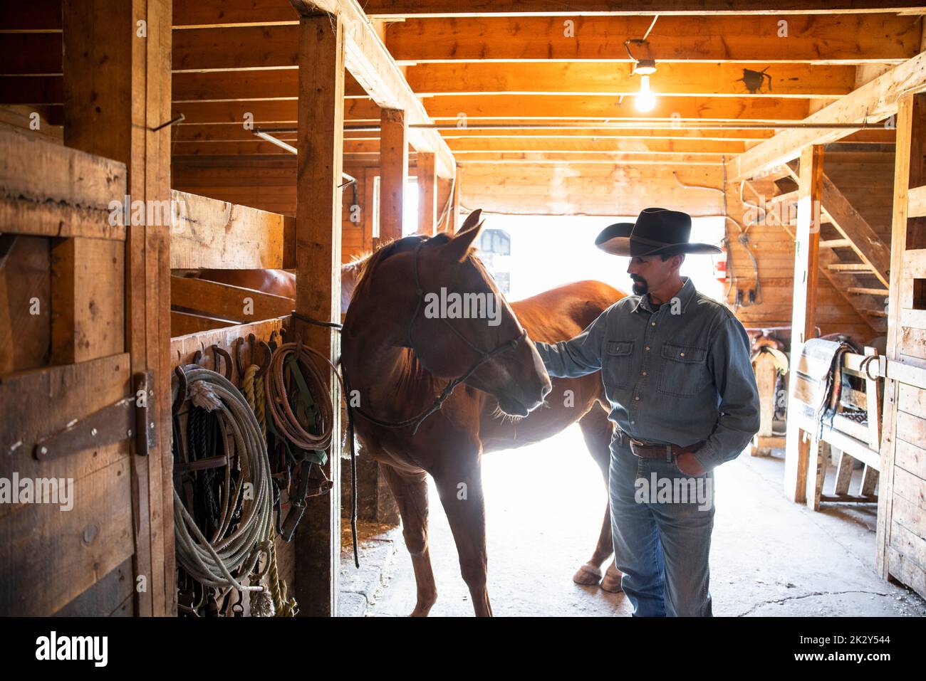 One cowboy standing hi-res stock photography and images - Alamy