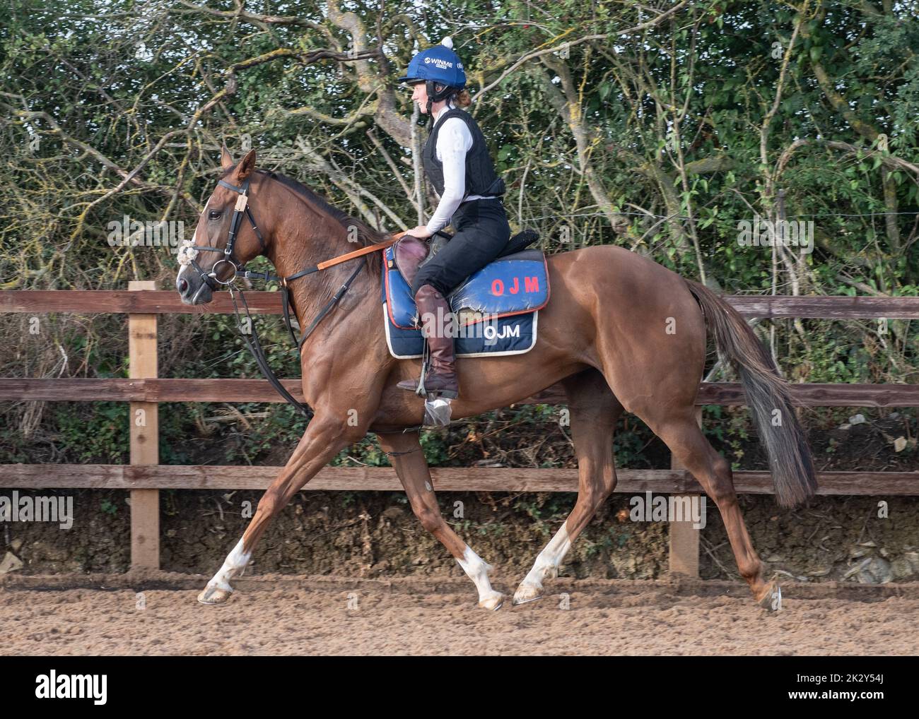 Olly murphy trainer hi-res stock photography and images - Alamy