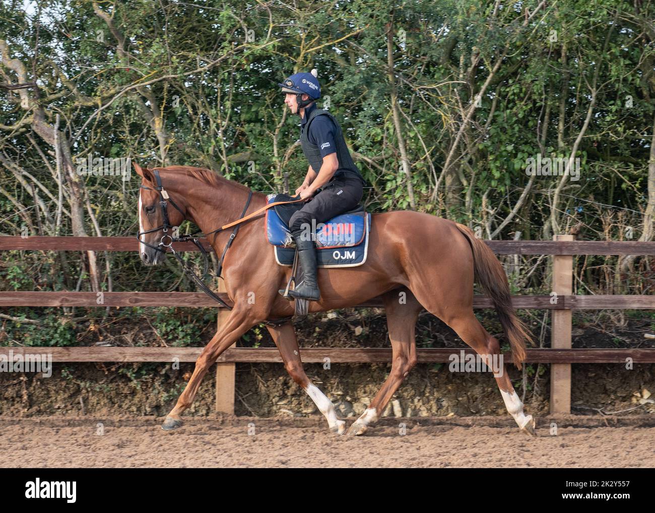 Olly Murphy Racing Stock Photo - Alamy