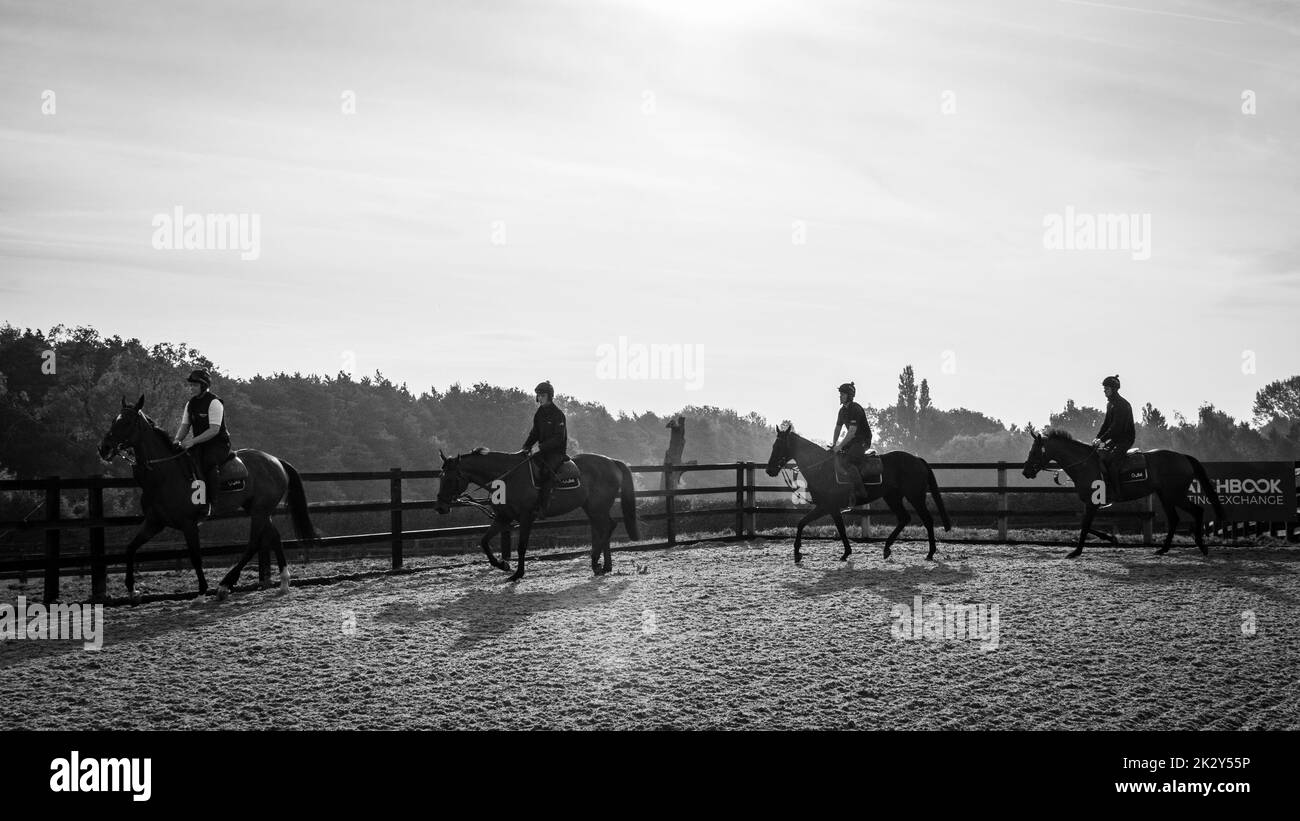 Olly murphy trainer hi-res stock photography and images - Alamy