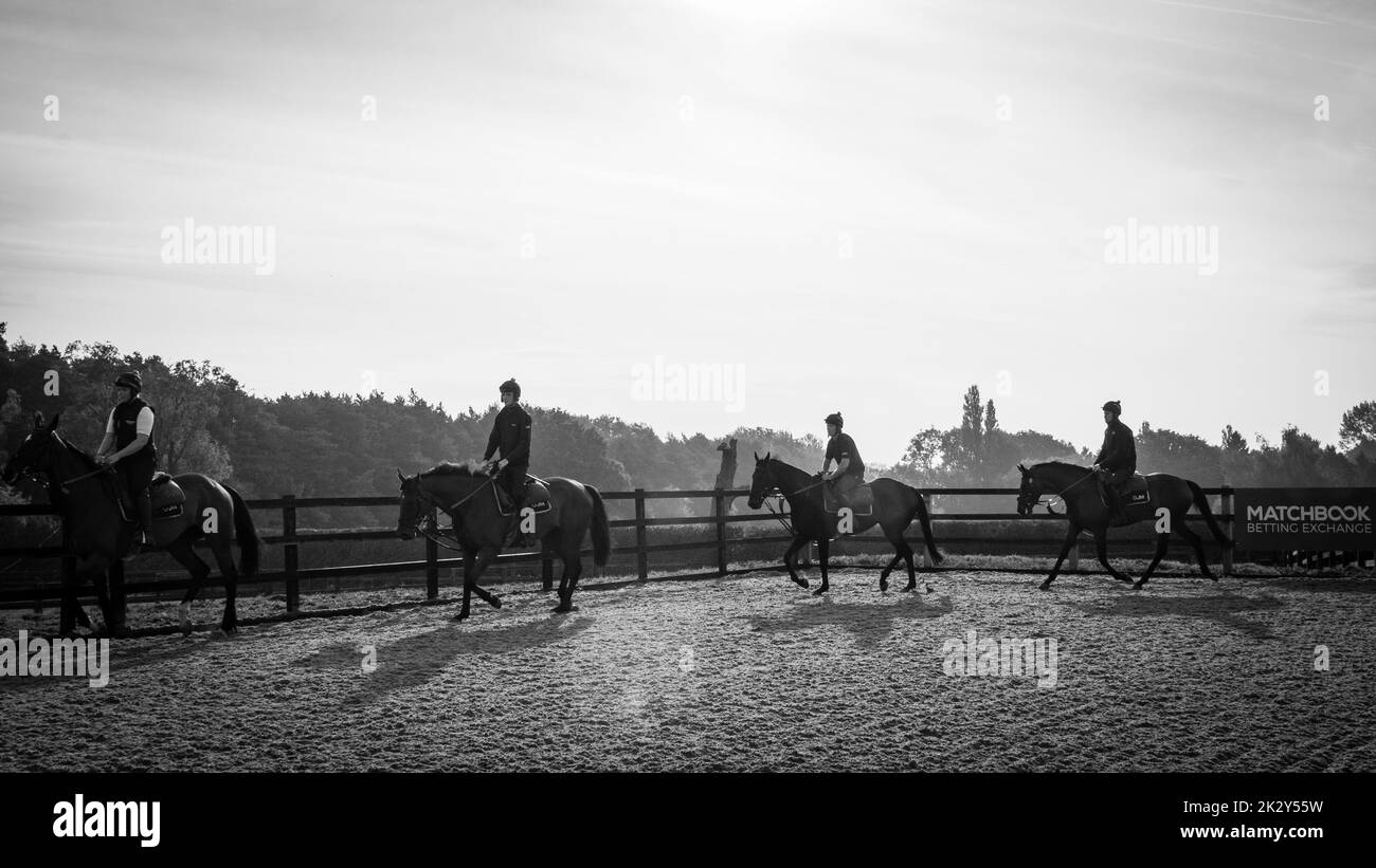 Olly murphy trainer hi-res stock photography and images - Alamy