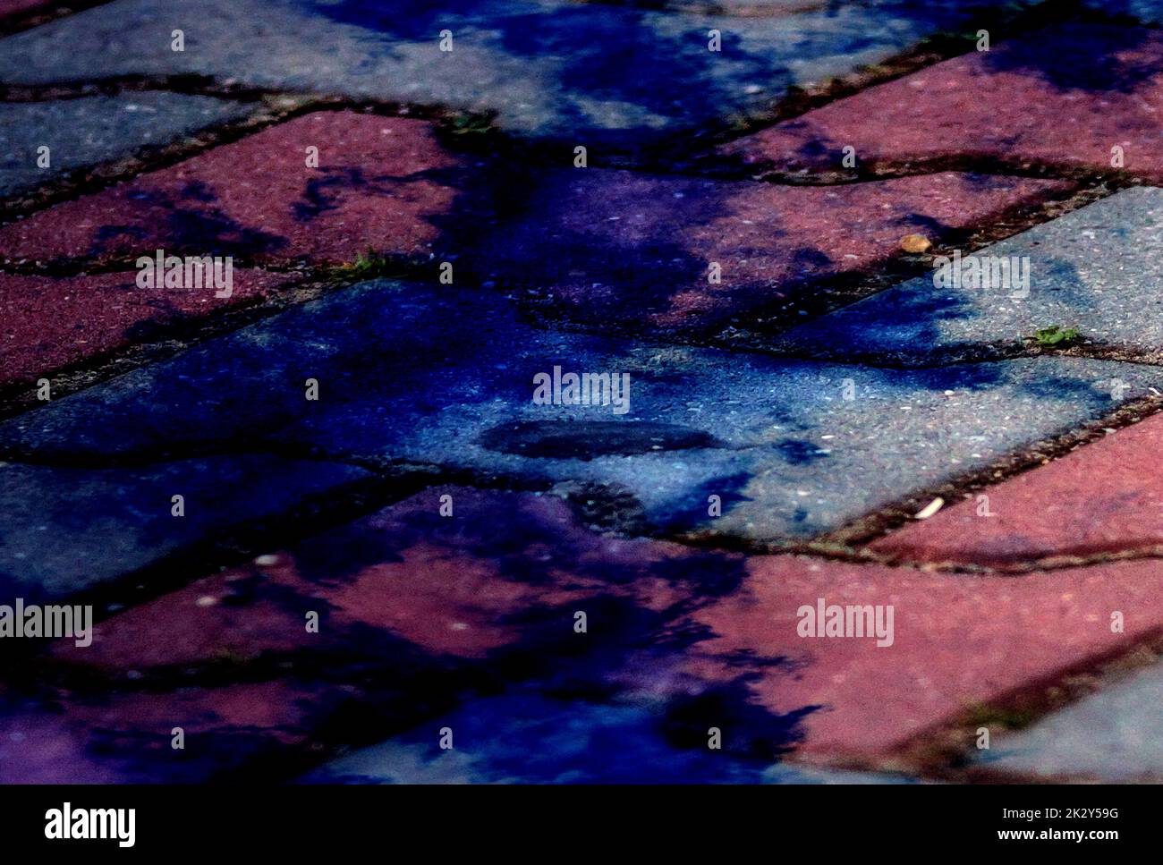 Abstract multicolor background with natural texture and irregular ...