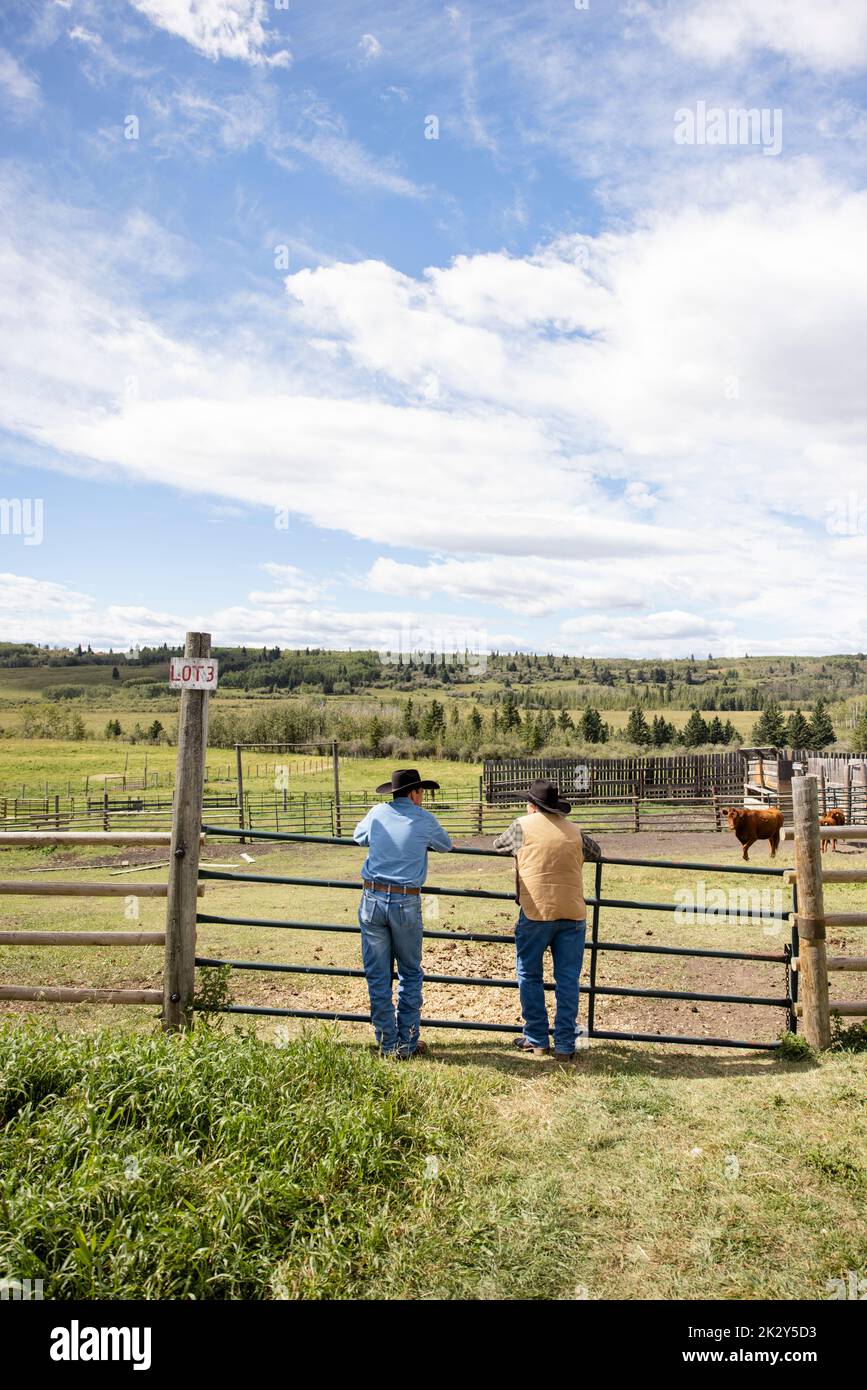 Two men in cowboy hats hi-res stock photography and images - Alamy