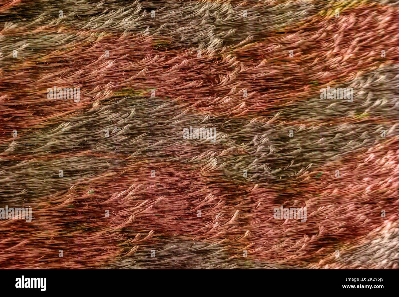 Abstract multicolor background with natural texture and irregular ...