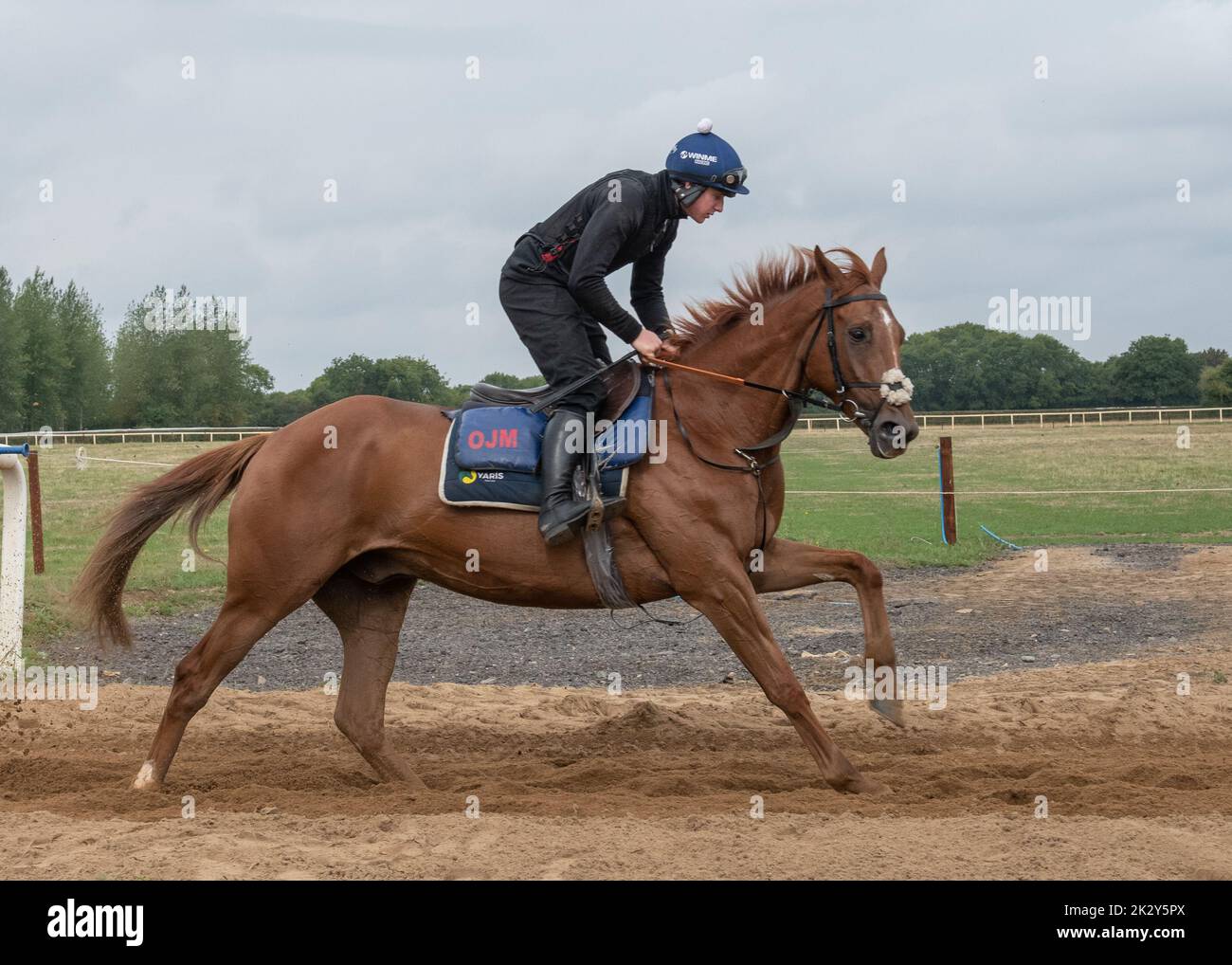 Warren chase racing stables hi-res stock photography and images - Alamy